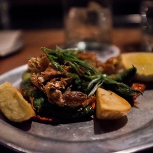 EL LOPO - 182 Photos & 100 Reviews - Spanish - 1327 Polk St, San ...