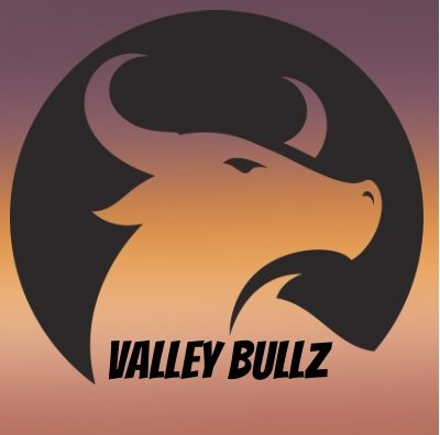 VALLEY BULLZ - Updated August 2024 - Request a Quote - Buckeye, Arizona ...