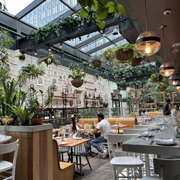 TERRA - Updated January 2026 - 1363 Photos & 688 Reviews - 800 Boylston ...