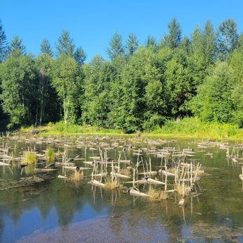 BRIGHTWATER CENTER - Updated December 2025 - 66 Photos & 11 Reviews ...