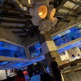 MRS FISH - Updated June 2024 - 4615 Photos & 1757 Reviews - 448 South ...