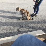 VISION QUEST RANCH - 780 Photos & 276 Reviews - Bed & Breakfast - 400 ...