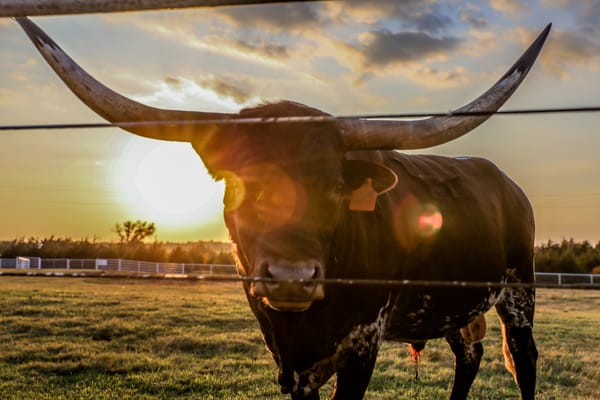 ROBS RANCH - Updated October 2025 - 12 Photos - 23899 State Hwy 74 ...