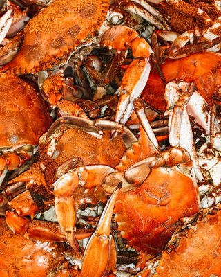 CRAB & CLAW SEAFOOD - Updated September 2025 - 114 Photos & 110 Reviews ...