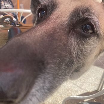 LOS OJOS RESTAURANT AND SALOON - Updated June 2025 - 189 Photos & 195 ...