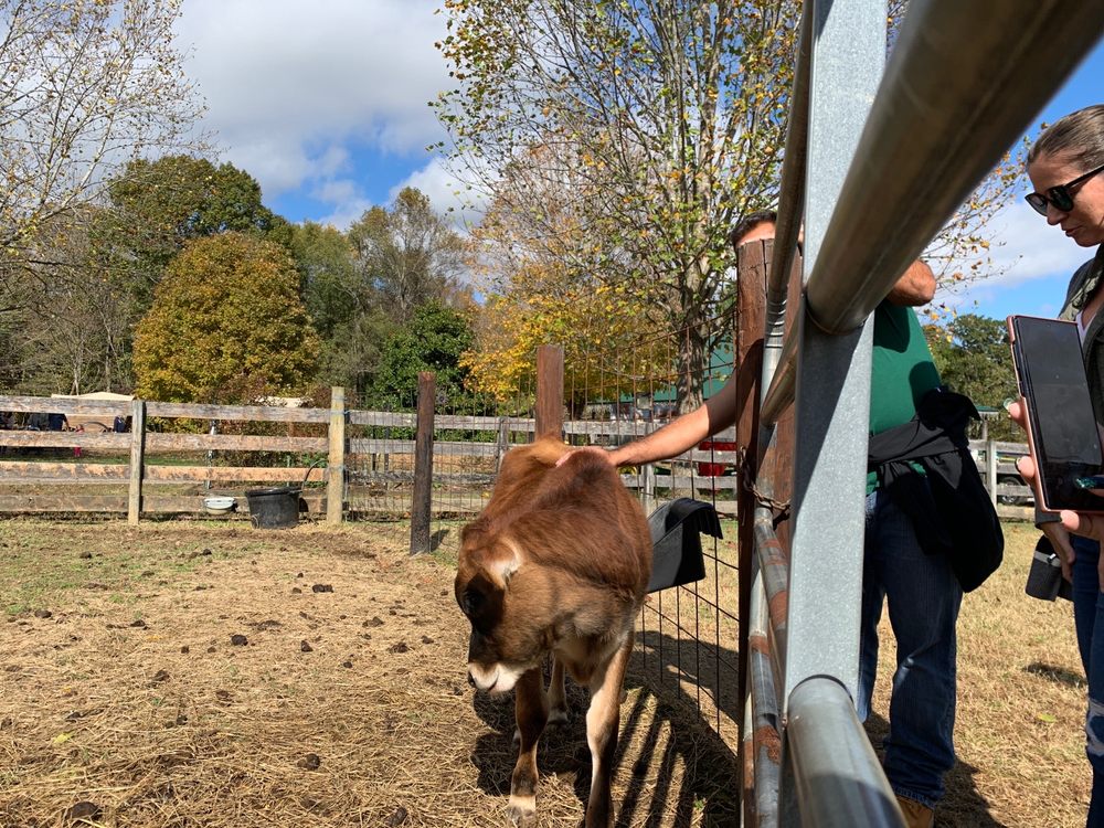 HONEYSUCKLE HILL FARM - 55 Photos & 64 Reviews - 1765 Martins Chapel ...