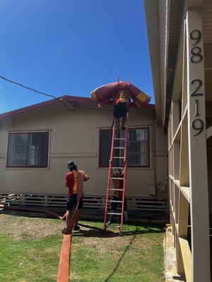 ALOHA TERMITE & PEST CONTROL - Updated August 2025 - 56 Photos & 207 ...