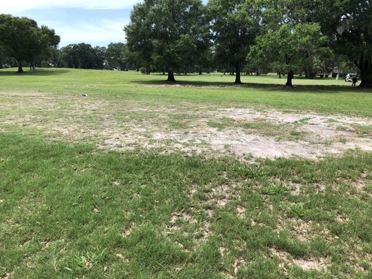 TARPON WOODS GOLF CLUB - 20 Photos & 15 Reviews - 1100 Tarpon Woods ...