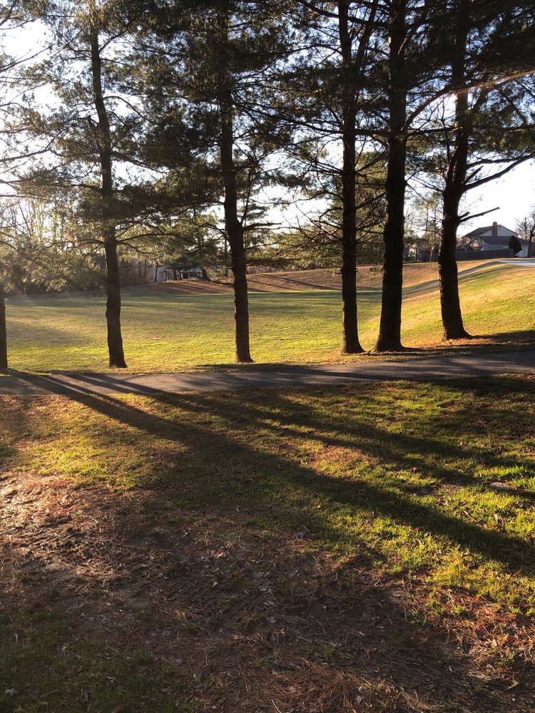 WELSH PARK - 16 Photos - Skate Parks - 355 Martins Ln, Rockville, MD - Yelp