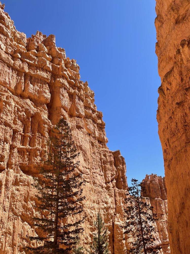 TROPIC TRAIL - Updated September 2025 - Tropic, Utah - Hiking - Yelp