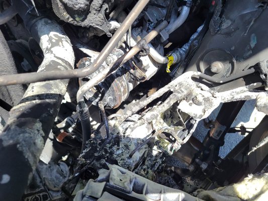 TRONCALLI CHRYSLER DODGE JEEP RAM - Updated January 2026 - 27 Photos ...