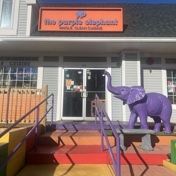 THE PURPLE ELEPHANT - Updated July 2025 - 730 Photos & 616 Reviews - 81 ...
