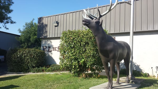ELK GROVE ELKS LODGE #2577 - Updated May 2026 - 9240 Survey Rd, Elk ...