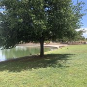 DOBSON RANCH PARK - 233 Photos & 17 Reviews - 2359 Dobson Rd, Mesa ...