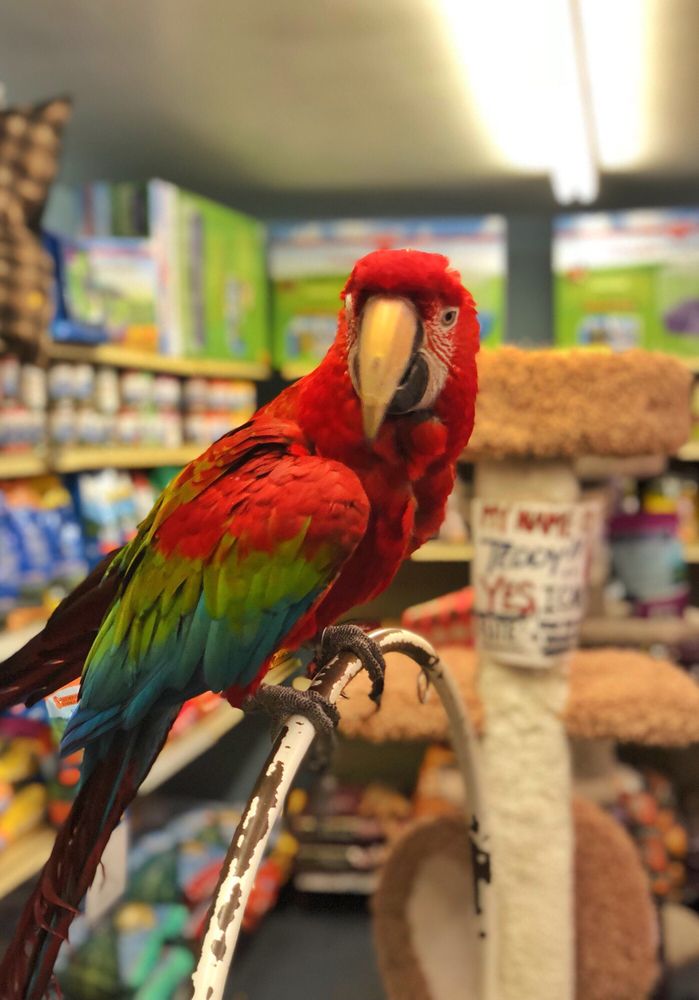 MIDWAY TROPICAL FISH & PETS - 61 Photos & 80 Reviews - Pet Stores ...