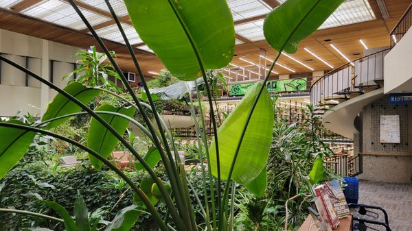 DOWNTOWN RENO LIBRARY - Updated December 2025 - 86 Photos & 39 Reviews ...