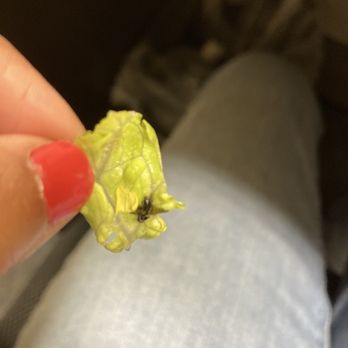 FARM GRILL - Updated December 2025 - 93 Photos & 163 Reviews - 30990 ...