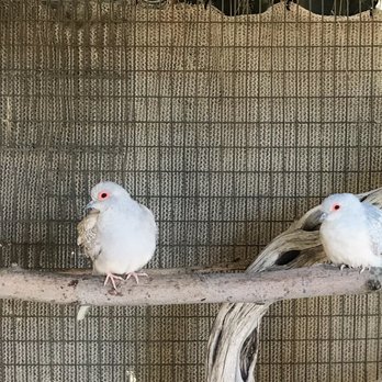 MAGNOLIA BIRD FARM - Updated January 2026 - 156 Photos & 211 Reviews ...