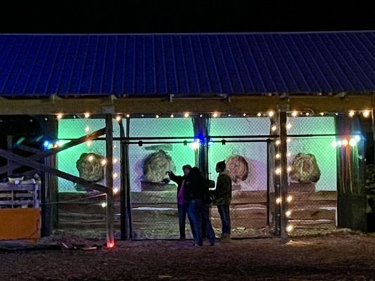 WINTER CITY LIGHTS - Updated December 2025 - 108 Photos & 45 Reviews ...