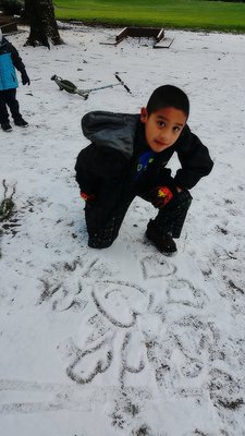 ORCHARDS PARK - Updated October 2025 - 19 Photos - 9800 NE 54th St ...