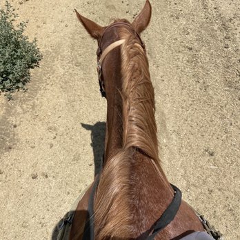 BALDWIN LAKE STABLES - Updated September 2024 - 101 Photos & 201 ...