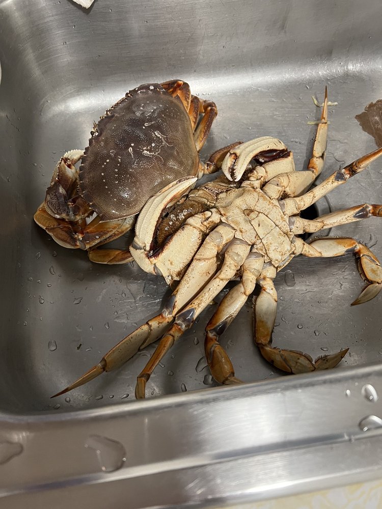 YANGTZE MEAT AND FISH MARKET - Updated August 2025 - 19 Photos & 12 ...