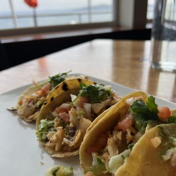 WILDFIN AMERICAN GRILL - Updated September 2024 - 902 Photos & 1034 ...