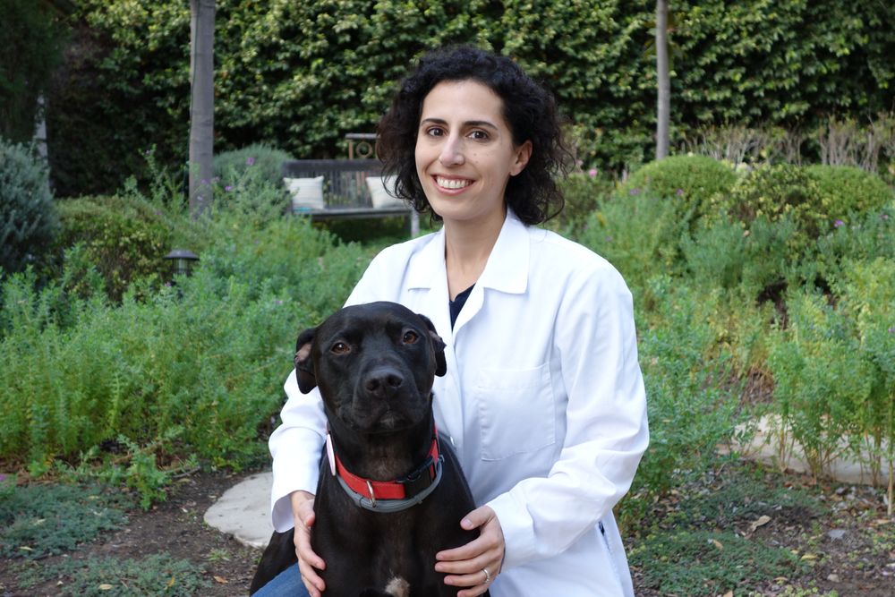 CODAPET - LOS ANGELES - Updated April 2025 - Los Angeles, California ...