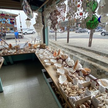 THE SHELL SHOP - Updated December 2025 - 217 Photos & 141 Reviews - 590 ...