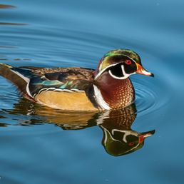 Mike's Camera Reviews | Read Customer Service Reviews of mikescamera.com