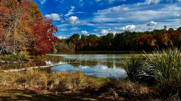 CHESTER STATE PARK - Updated October 2025 - 35 Photos & 12 Reviews ...