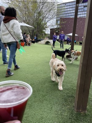 SKIPTOWN - 138 Photos & 73 Reviews - 222 Rampart St, Charlotte, NC - Yelp