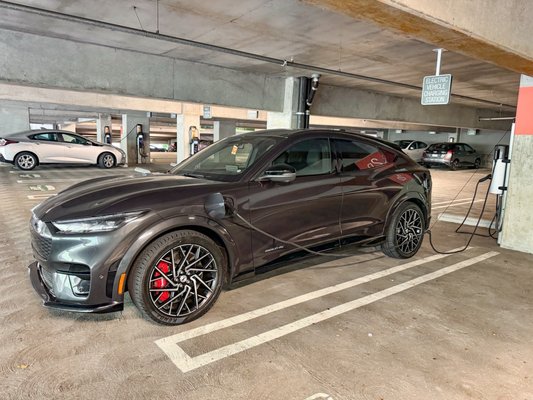 CERTIFIED BENZ & BEEMER - Updated January 2026 - 155 Photos & 494 ...