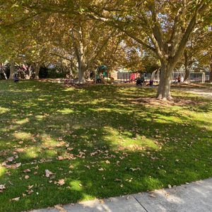 VAL VISTA COMMUNITY PARK - 56 Photos & 44 Reviews - Playgrounds - 6701 ...