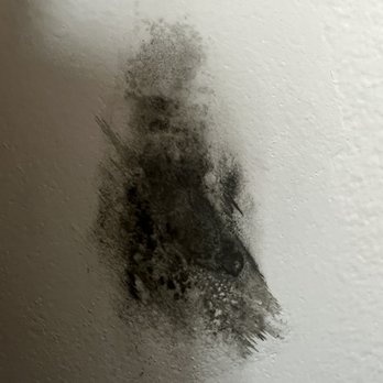 REDPOINT COLUMBIA - Updated July 2024 - 68 Photos & 93 Reviews - 1050 ...