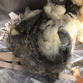 WINDWOOD APARTMENTS - Updated December 2025 - 64 Photos & 81 Reviews ...