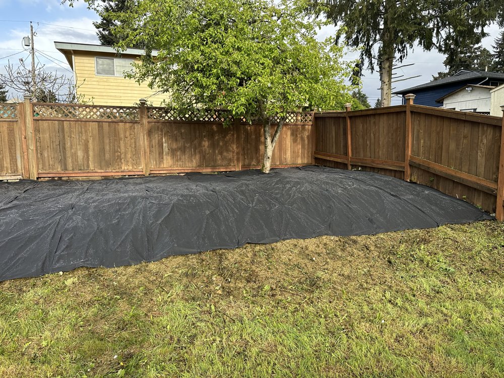 Same Day Service at Savvy Landscape & Design - Updated April 2025 - 42 ...