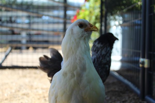 TRAK - THERAPEUTIC RANCH FOR ANIMALS AND KIDS - Updated October 2025 ...