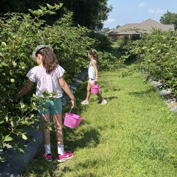 ATKINSON FARM - Updated December 2025 - 167 Photos & 74 Reviews - 3217 ...