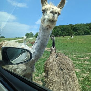 WILSTEM - Updated August 2025 - 342 Photos & 83 Reviews - 4229 W US-150 ...