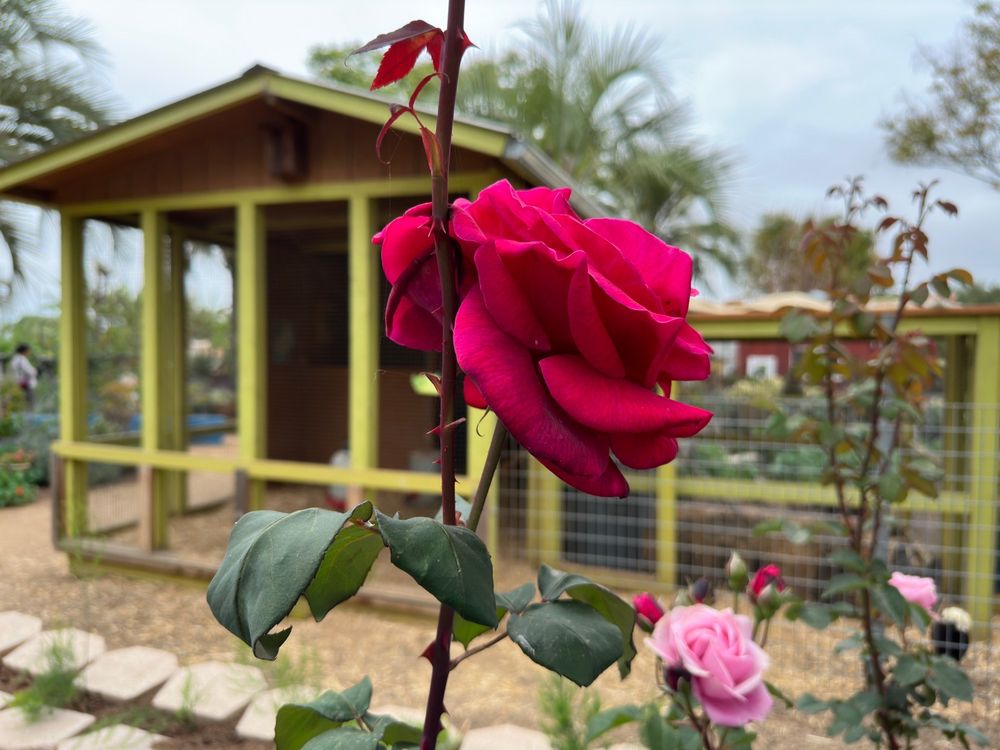 ORANGE COUNTY GREAT PARK FARM + FOOD LAB - Updated October 2024 - 231 ...