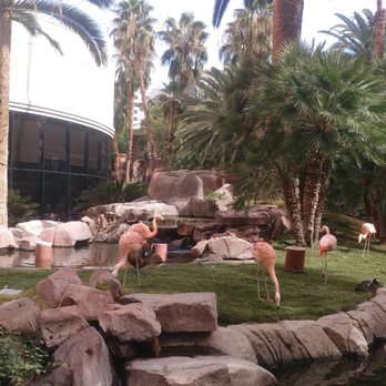 WILDLIFE HABITAT - Updated May 2025 - 526 Photos & 100 Reviews - 3555 ...