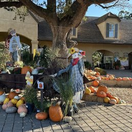 ALDEN LANE NURSERY - Updated December 2025 - 430 Photos & 235 Reviews ...