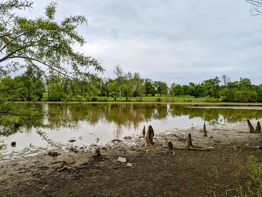 Playgrounds - JACOBSON PARK - 49 Photos & 31 Reviews - 4001 Athens ...