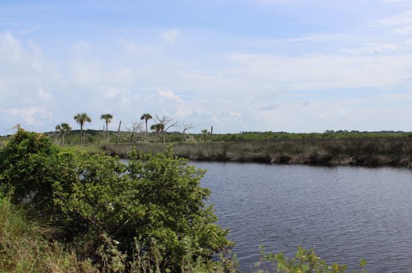 ORMOND SCENIC LOOP & TRAIL - Updated September 2024 - 45 Photos - 1765 ...