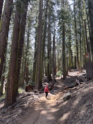 FOUR MILE TRAIL - Updated June 2025 - 196 Photos & 56 Reviews ...