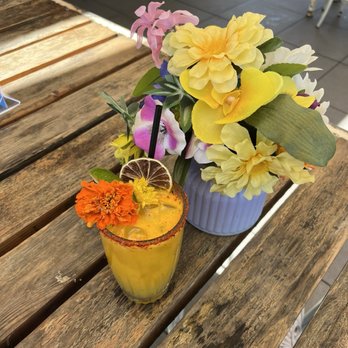 DARLING AVIARY - Updated April 2025 - 870 Photos & 677 Reviews - 712 K ...