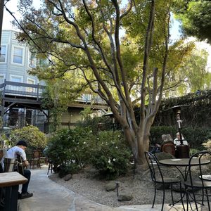ARBOR - 111 Photos & 64 Reviews - 384 Hayes St, San Francisco, CA ...