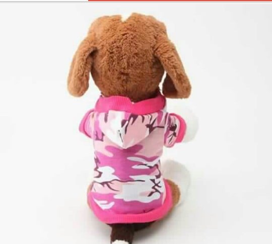 THE PINK POODLE PARLOR - Updated March 2024 - 26509 Hwy 321, Cleveland ...