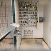 MAGNOLIA BIRD FARM - 143 Photos & 178 Reviews - 8990 Cerritos Ave ...